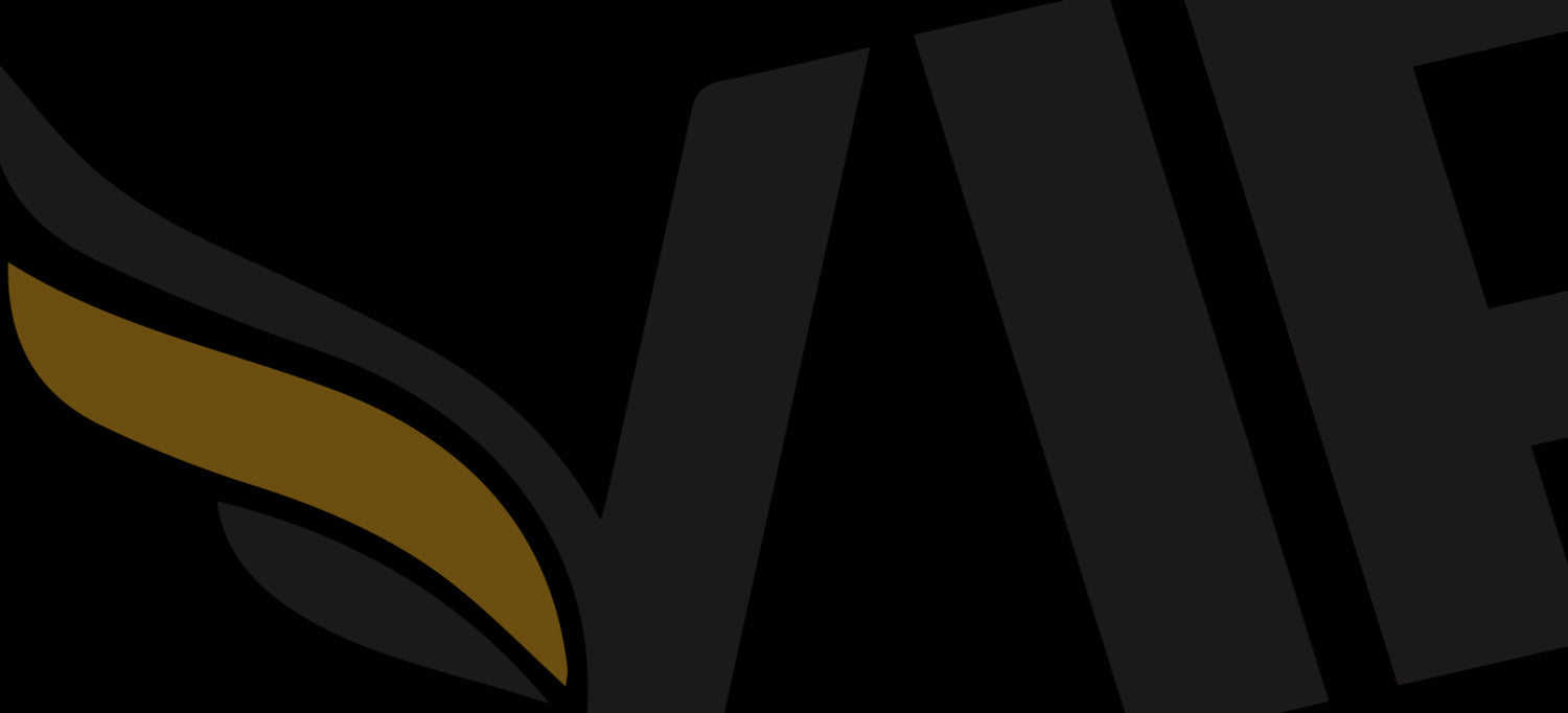 NYC VIP Awards Event – Vendors in Partnership